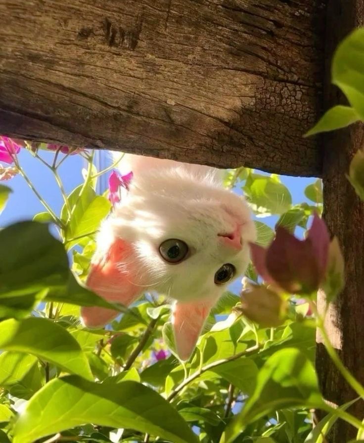 [25.10.21 TIL] 백준 11724번 연결 요소의 개수 구하기