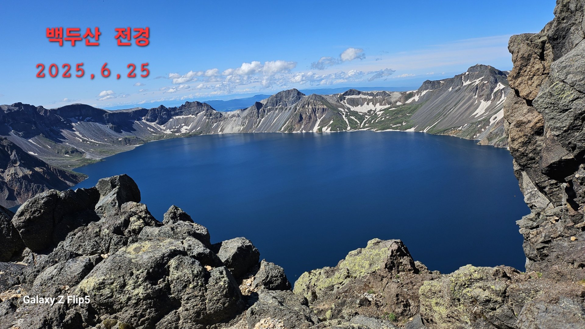 울산서 '제비물떼·붉은가슴울새'