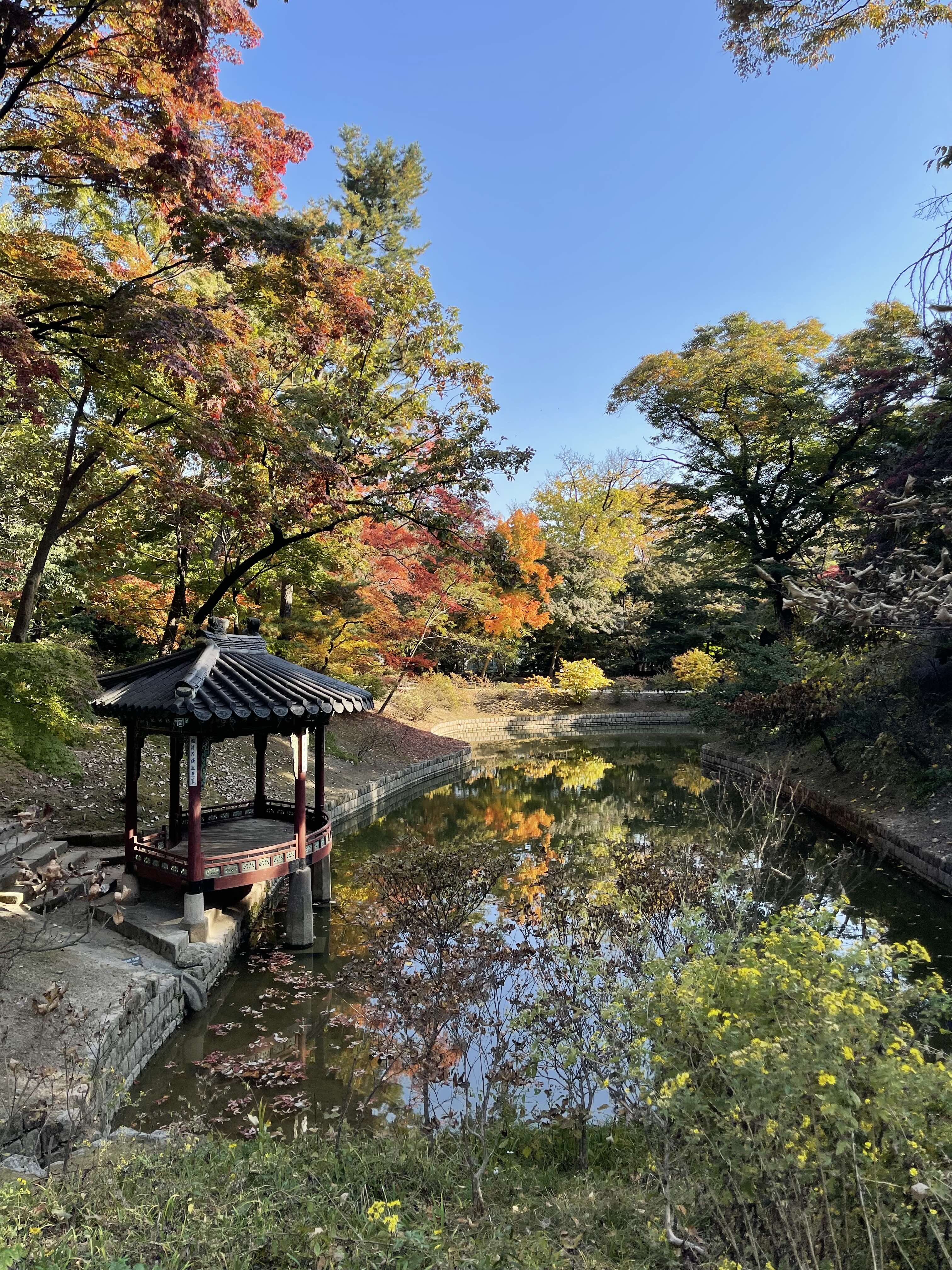 카이스트 영재 기업인 교육원 (KAIST IP-CEO)