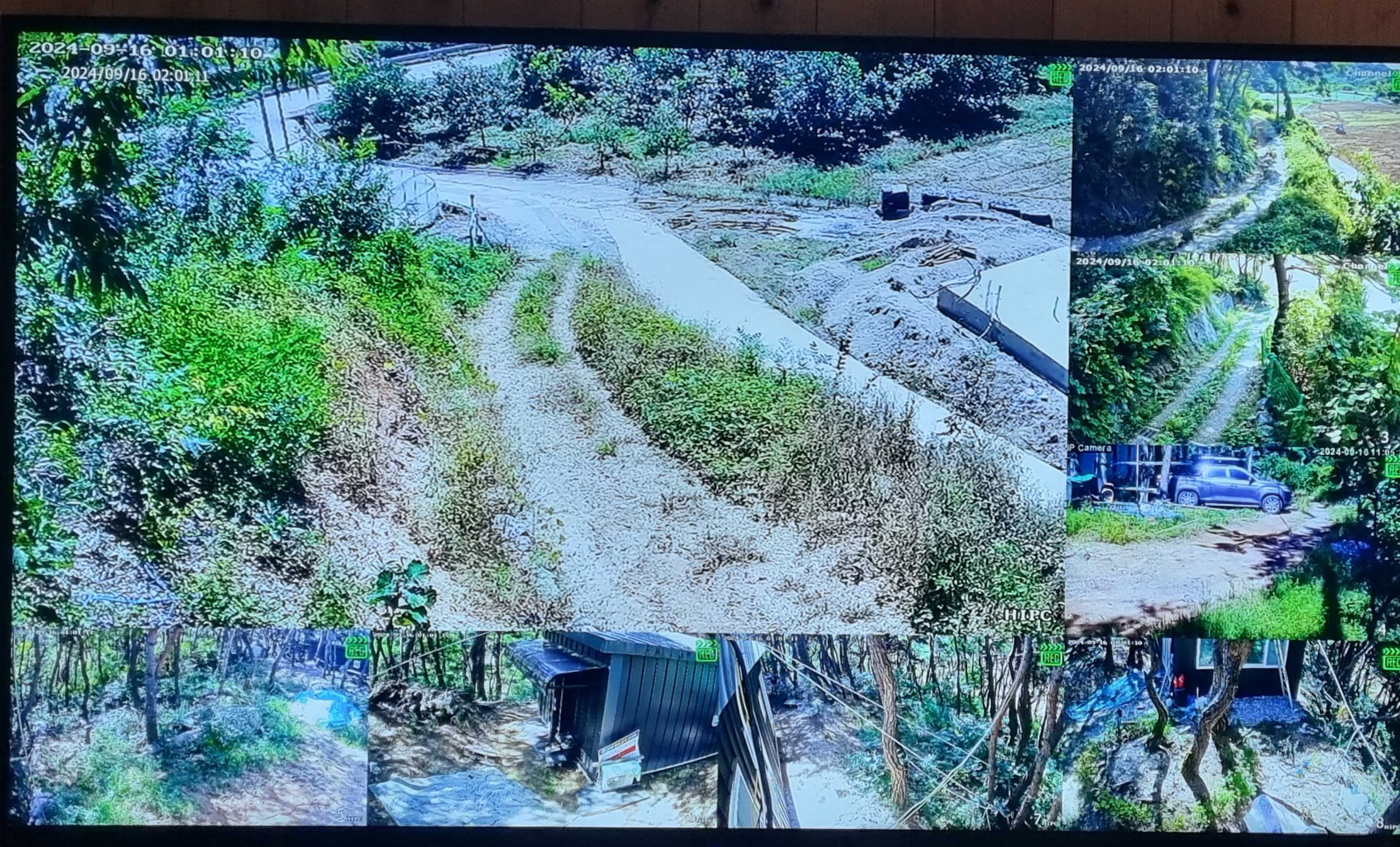 #여수의밤에관한기사공유