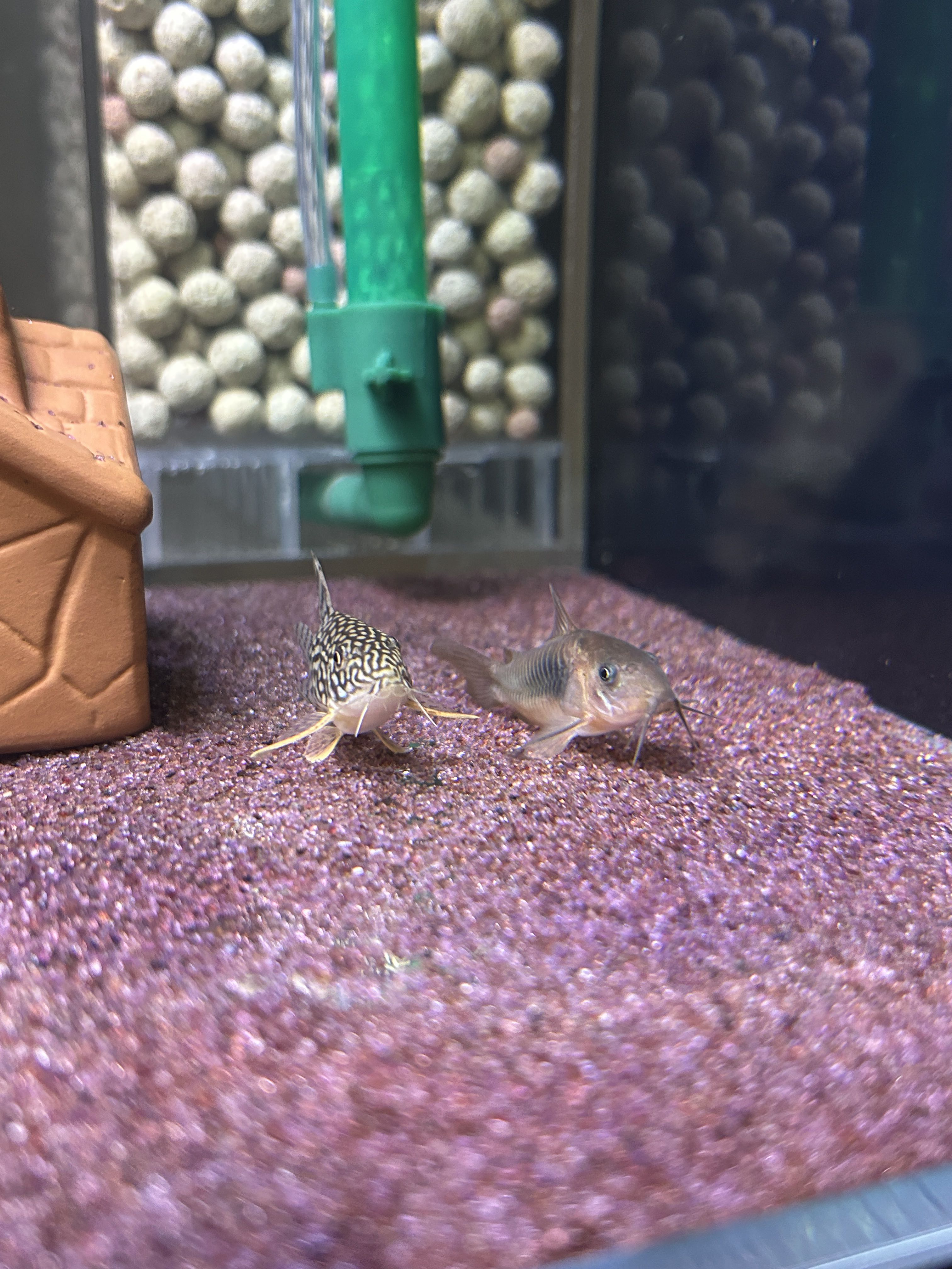 Android Studio TextWatcher로 검색 기능 구현