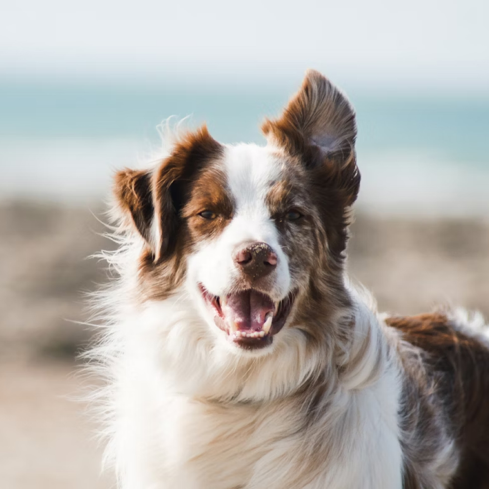 코딩이란 프로그램 프로그래밍 코딩 프로그래머의 차이점과 정의