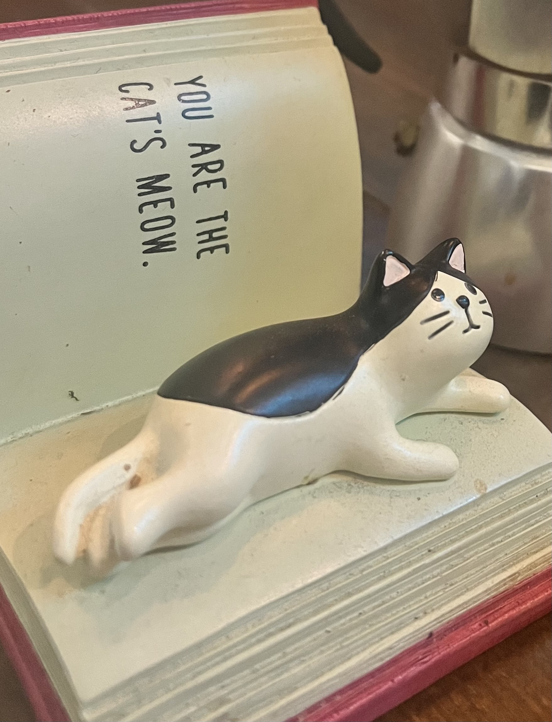 'No tests found' 해결하기 — 소소한 연구자 X