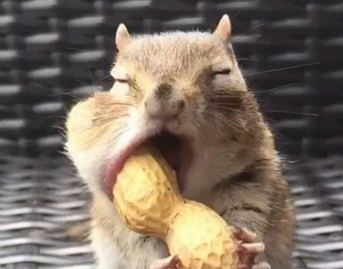 [C#/Winform] Timer 클래스를 사용하는 방법