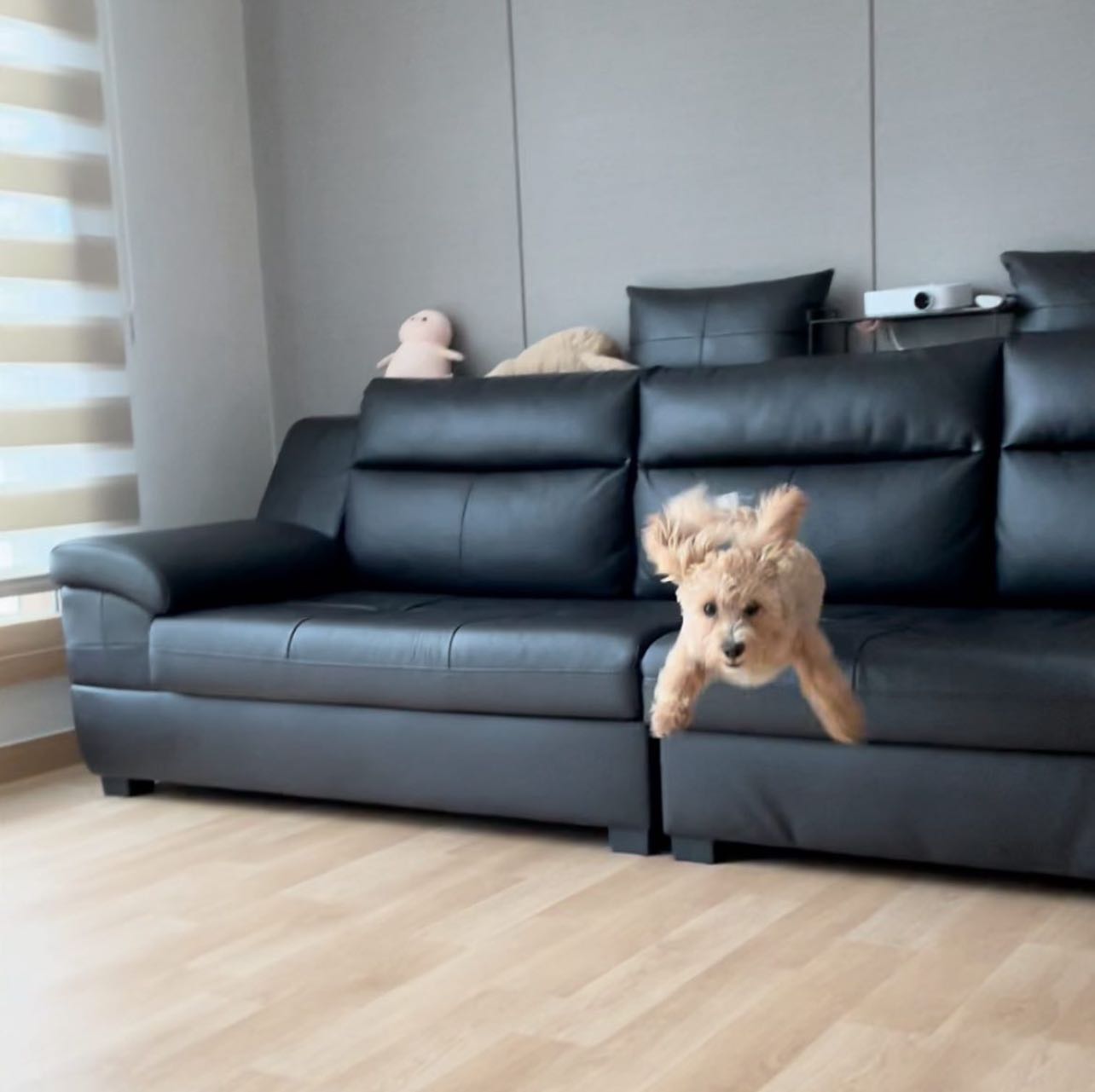 [드림핵] Write Up - rev-basic-4