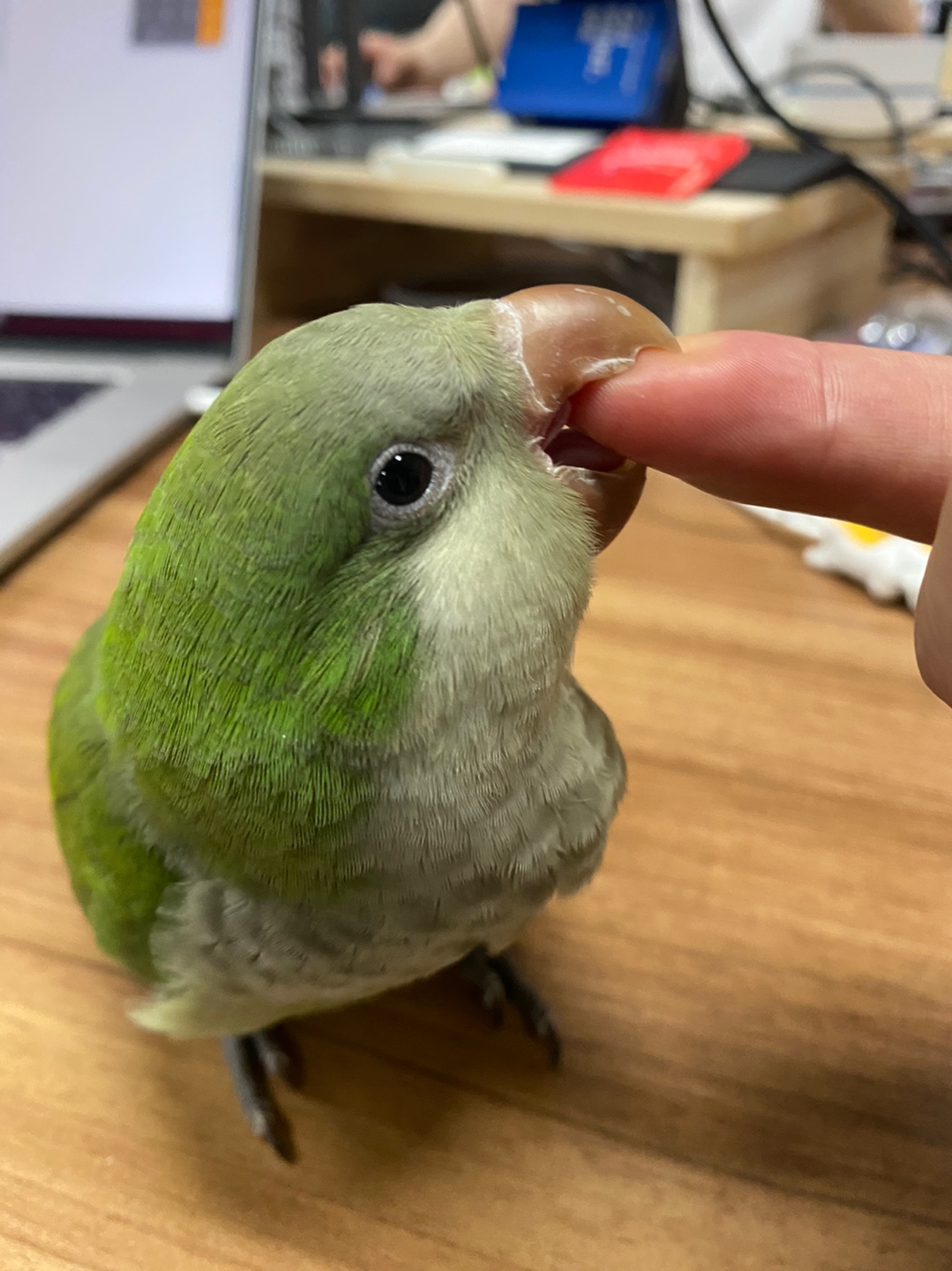 class com.google.gson.internal.LinkedTreeMap cannot be cast to class 에러 해결 방법