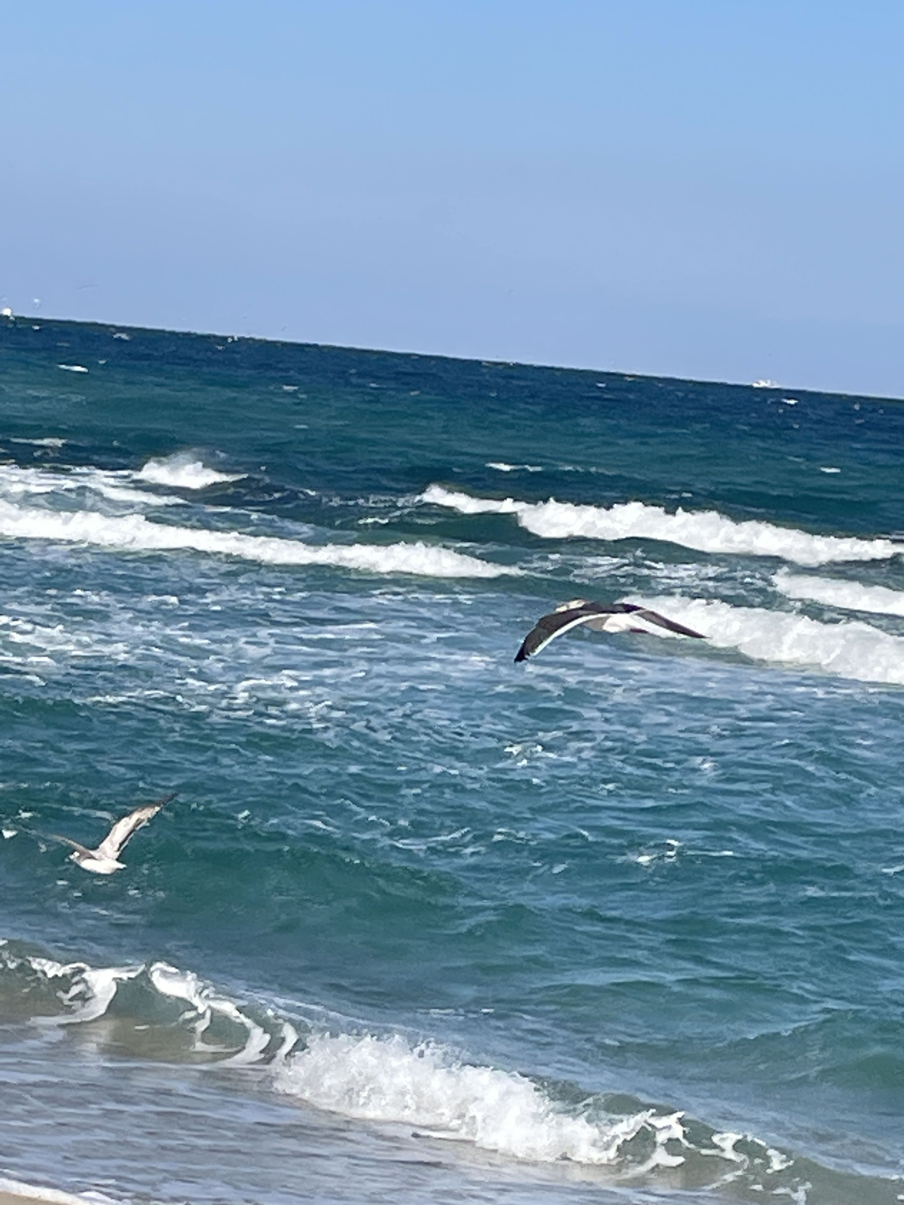 Beyond_SW_Camp 13기 60일차 (JavaScript)