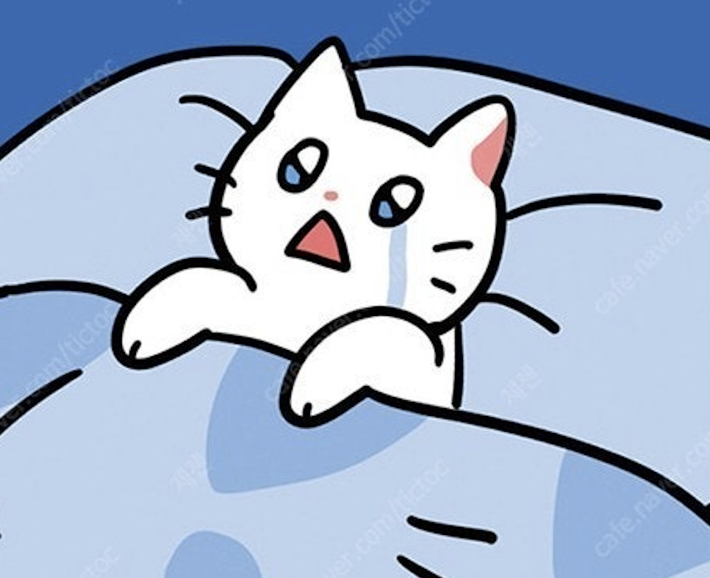 [BOJ/Python] 1926번 : 그림