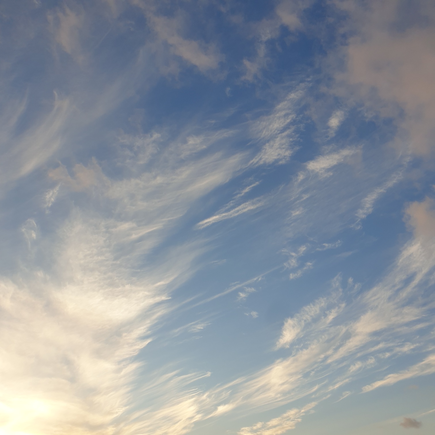 📊 Visa (V) 주가 분석