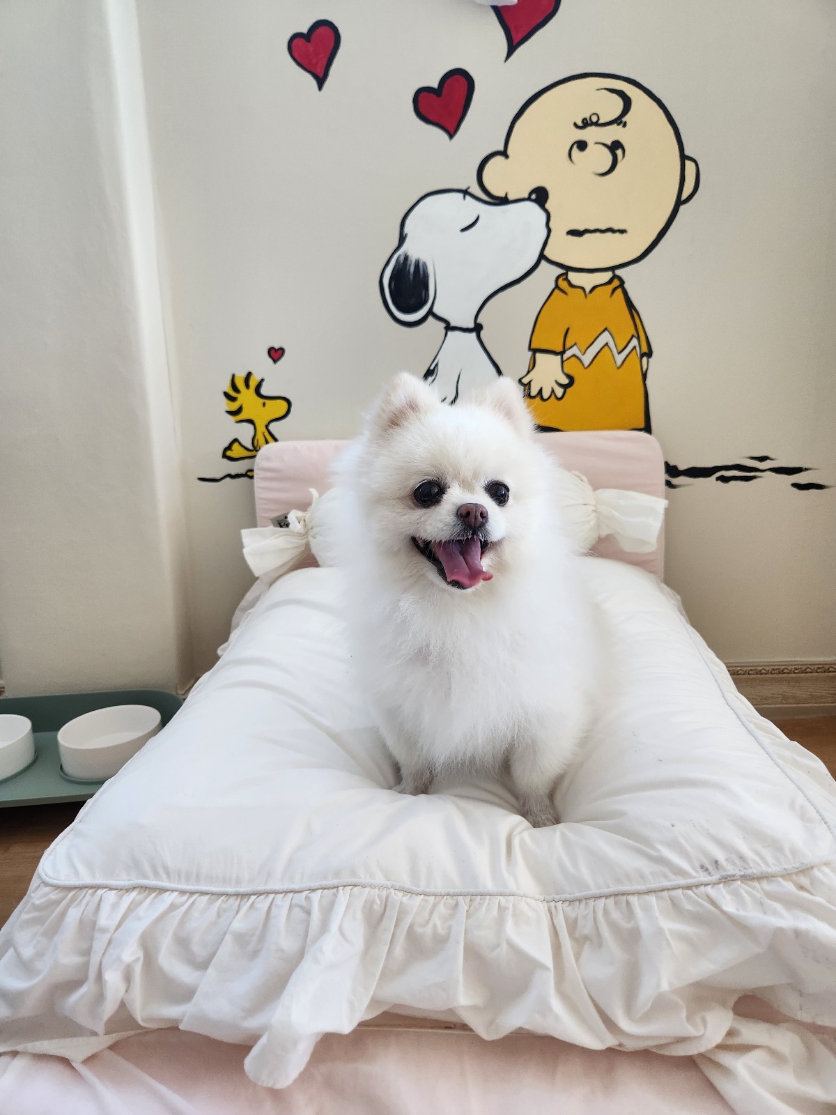 [Java] 기존의 switch문과 개선된 switch문