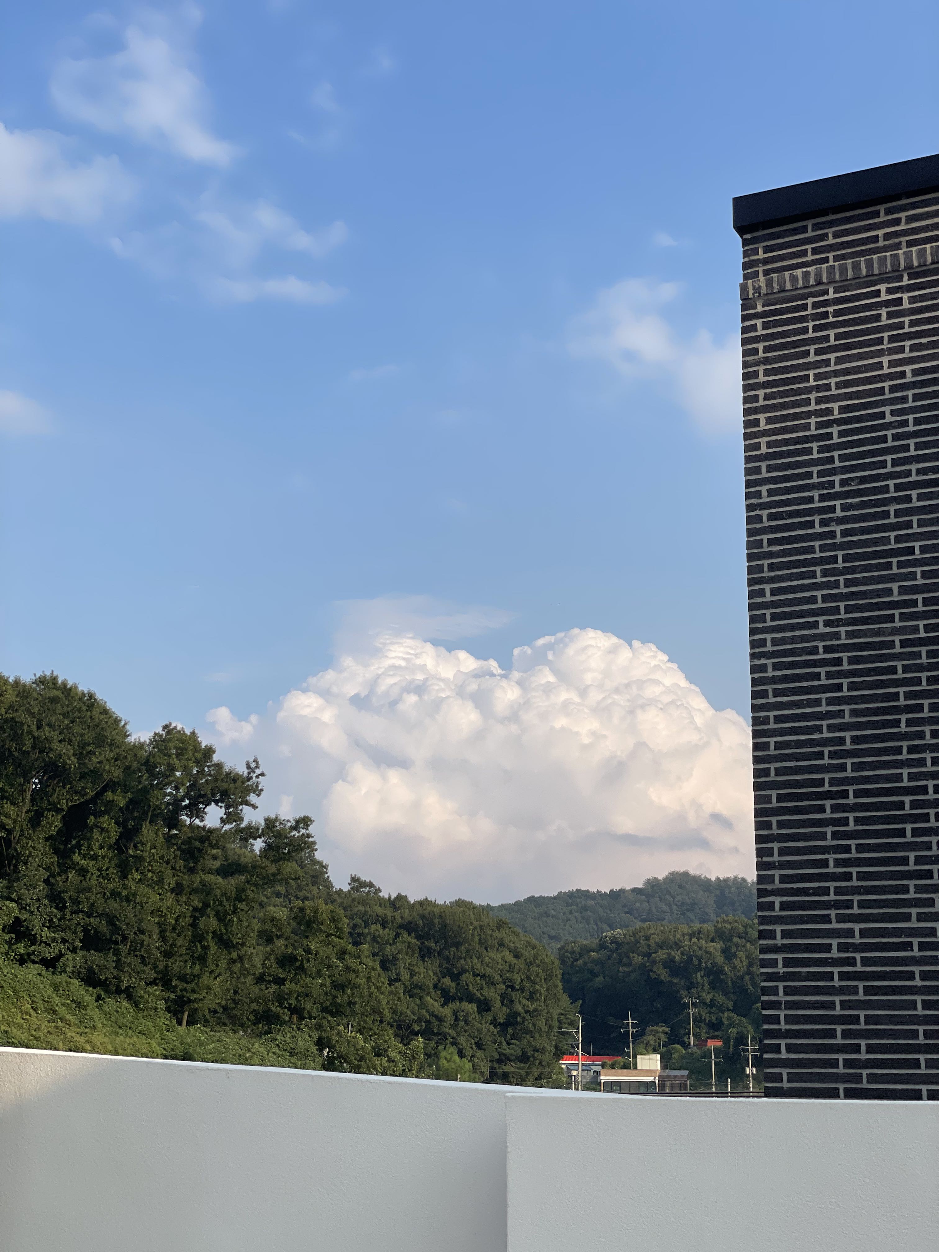 KTX 특실, 일반실 차이점 한눈에 보기 | 요금·서비스·좌석 총정리