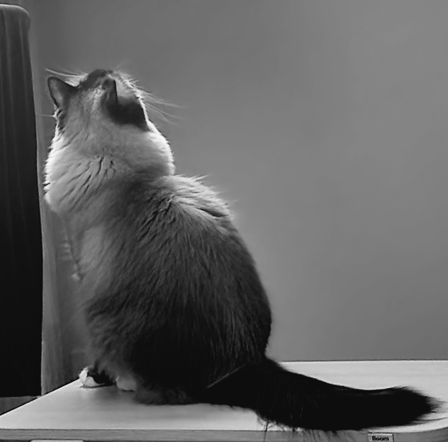 SAS Macro 프로그램을 저장하는 함수 %STR