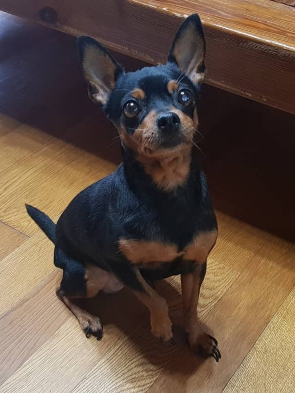 EBS 중학프리미엄, 전 강좌 무료 수강 방법 총정리!(2025년 최신)