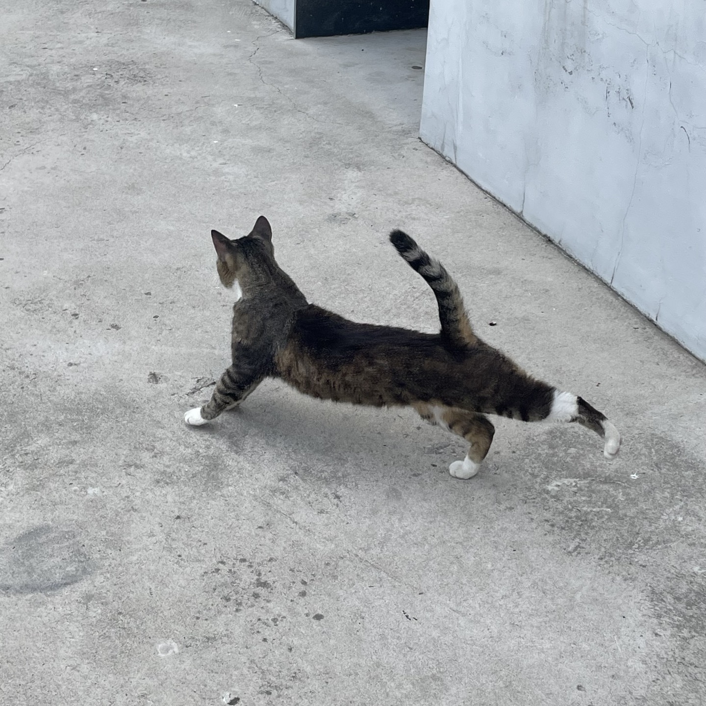 (solvesql) Advent of SQL 2025 6일차 — Growth DA Log님의 블로그