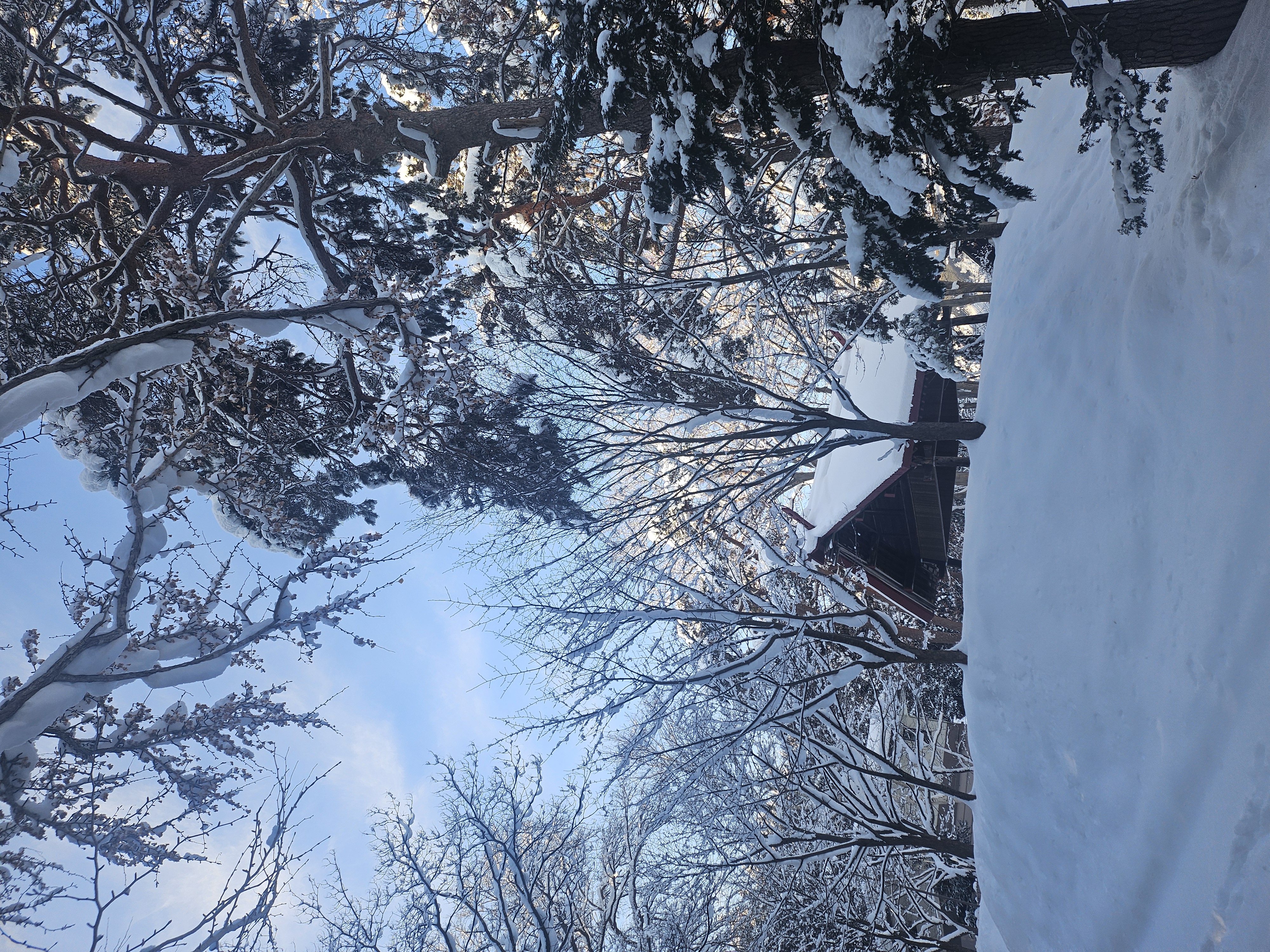 BTS 월드투어 발표, 하이브 주가 상승의 신호탄 될까?