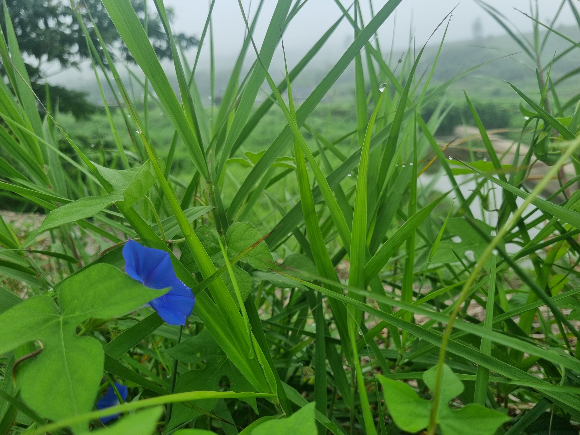 (2026-01-04) Predictive AI 해석을 LLM으로 - BatteryAgent 논문