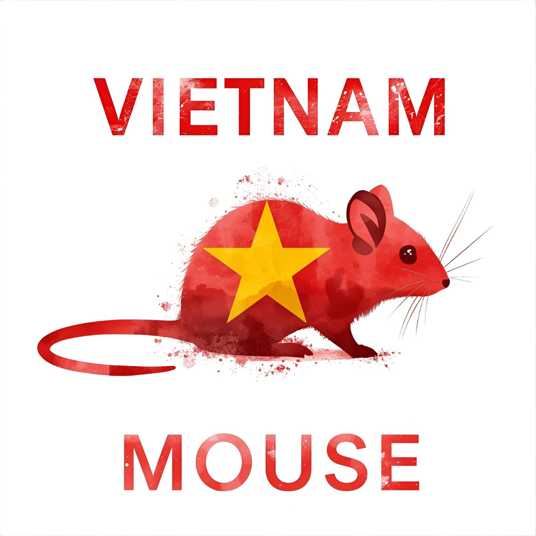 호치민 루나 마사지(LUNA MASSAGE) 가이드 | 7군 한인 관리 업소 후기