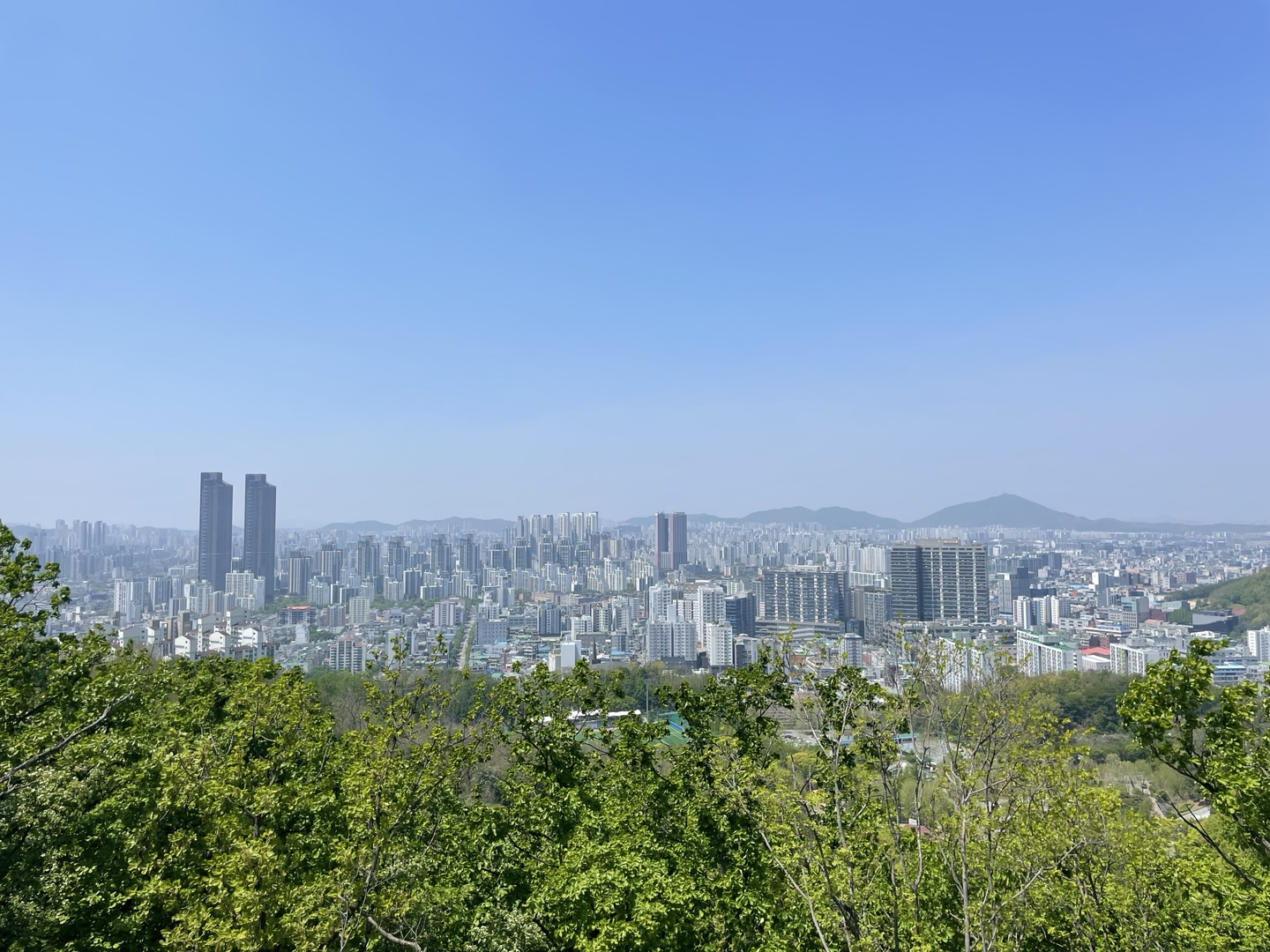 시선공포 훈련 - 벽 서기(Static Wall Posture Alignment)