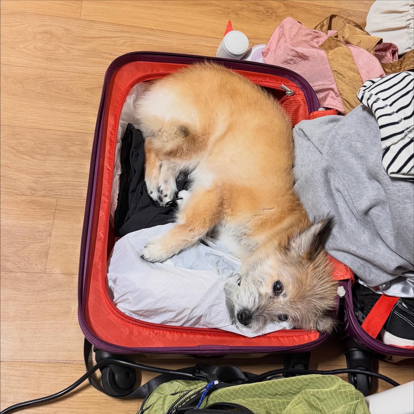 MySQL | 집계함수와 Window Function